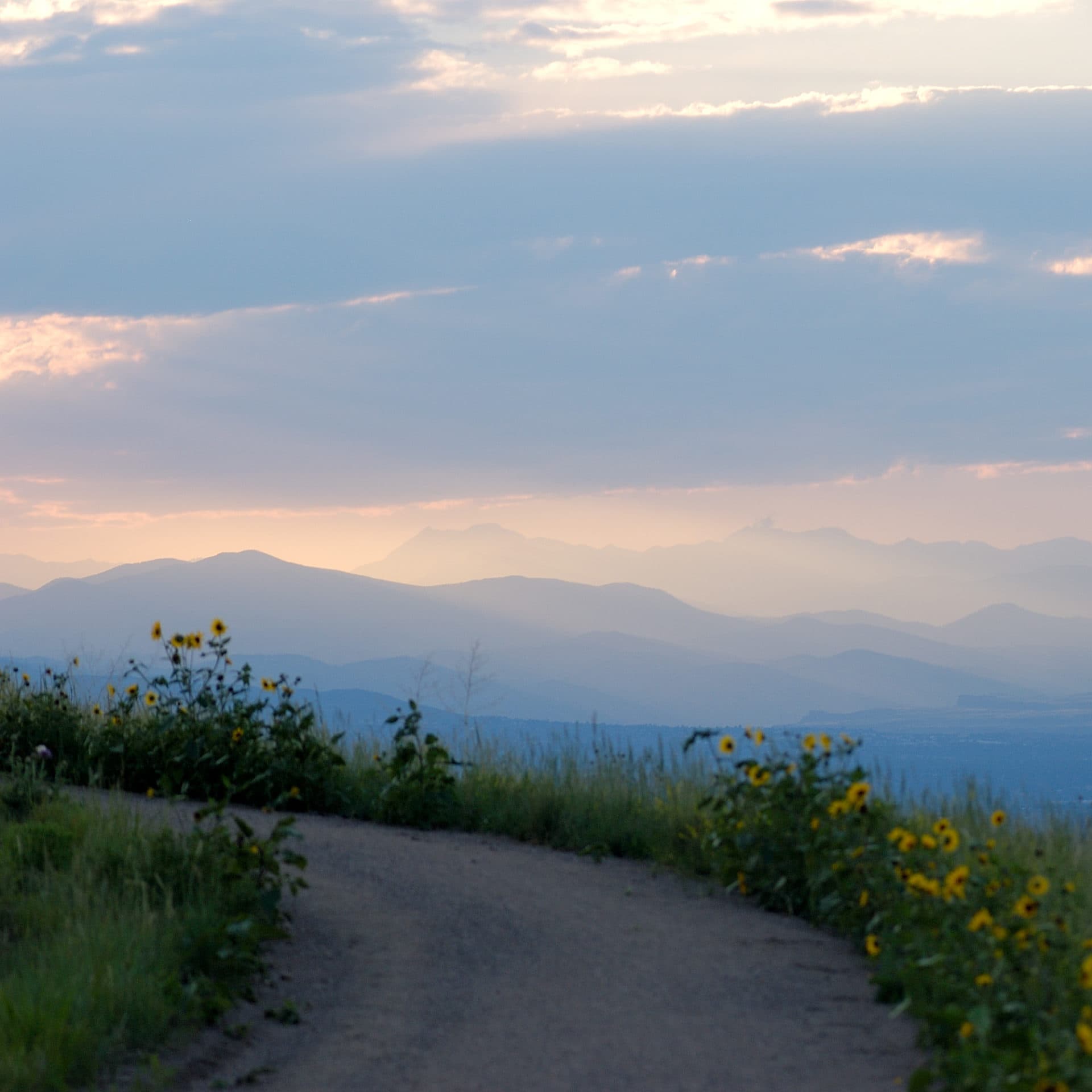 Bluffs Regional Park Loop in Lone Tree, CO - RidgeGate